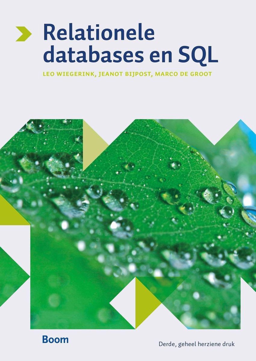 Relationele Databases En Sql Ebook Leo Wiegerink 9789024428854 Boeken Bol