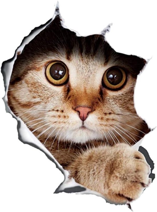 Allecto Plus - Grappige Kat Auto Styling Stickers - Creatieve Simulatie Auto Deur en... | bol