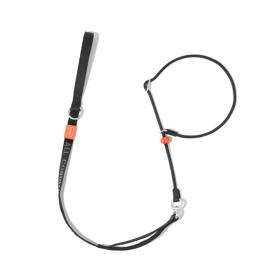 Slip Lead Leash with Collar 1.5m (Black) - 360° Swivel Anti Tangle ...