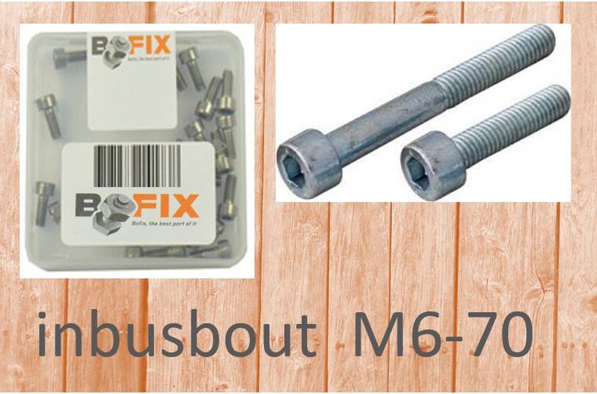 Bofix Zeskant Bout M6 X 25 Mm Rvs 50 Stuks (218625) | bol.com