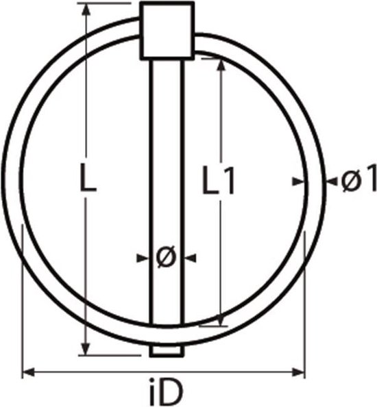 Borgpen met ring 6,0 mm RVS-316 | bol