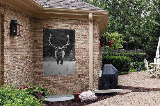 Tuinposter - Tuindoek - Tuinposters buiten - Mannelijk hert lopend door ...
