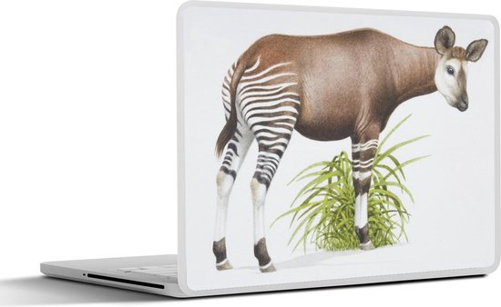 Laptop sticker - 11.6 inch - tekening van een Okapi | bol.com