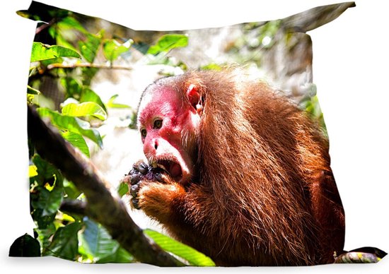 Pouf PillowMonkey - Singe uakari rouge mange des fruits - 140x100 cm ...