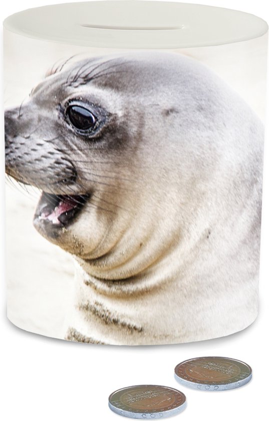 Spaarpot - Spaarblik - Zeeolifant - Grappig - Lachen - Kinderen ...