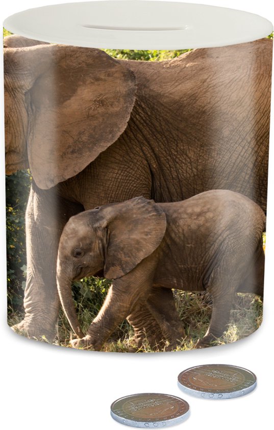 Spaarpot - Spaarblik - Wandelende baby olifant met zijn moeder ...