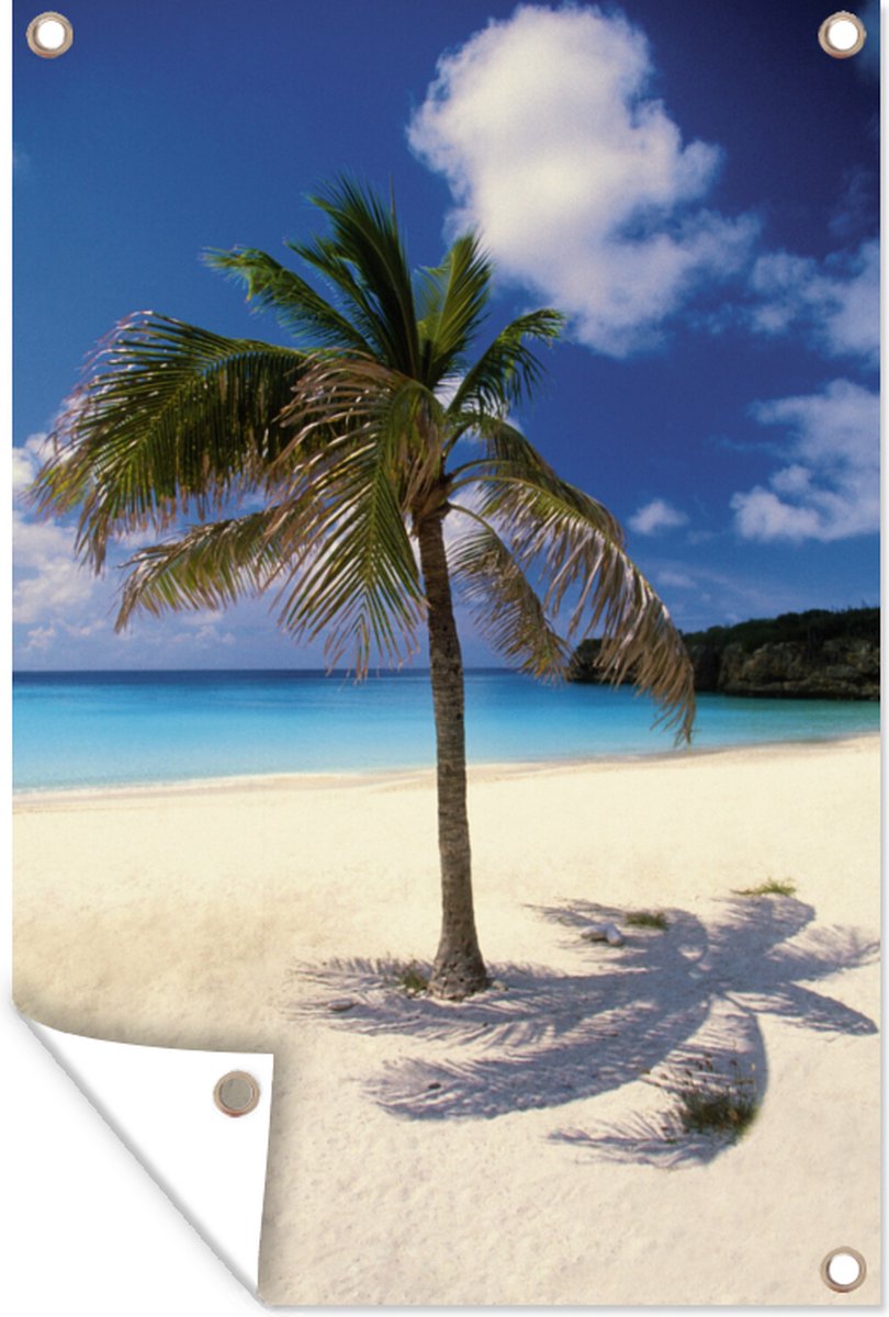 Muurdecoratie Palmboom op het strand de Knip, Curaçao - 120x180 cm ...