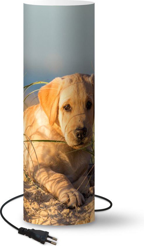 Lamp - Nachtlampje - Tafellamp slaapkamer - Labrador Retriever puppy ...