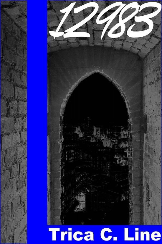 Cahiers 4 - 12983 (ebook), Trica C. Line | 9781370298631 | Boeken | bol