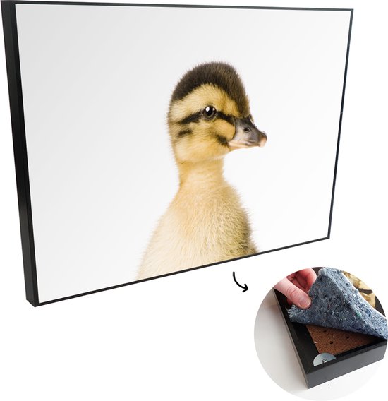 Eend - Geel - Dieren - Natuur | bol.com