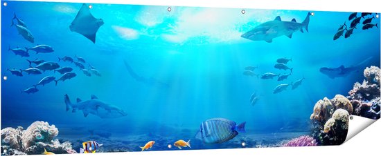 Gards Tuinposter Vissen met Haaien in de Oceaan met Koraalrif - 210x70 ...