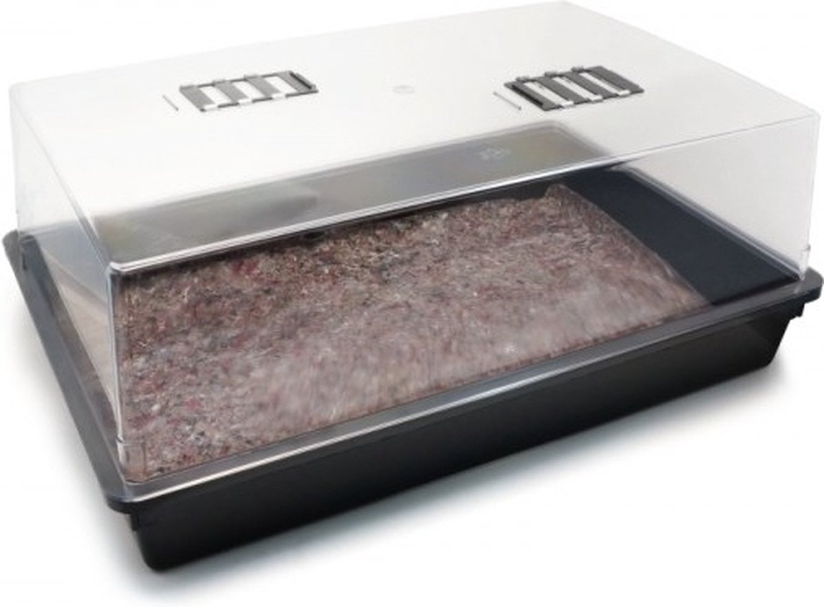 Senkap Propagator Kweekbak met regelbare verwarmingsmat - 58 cm x 38 cm ...
