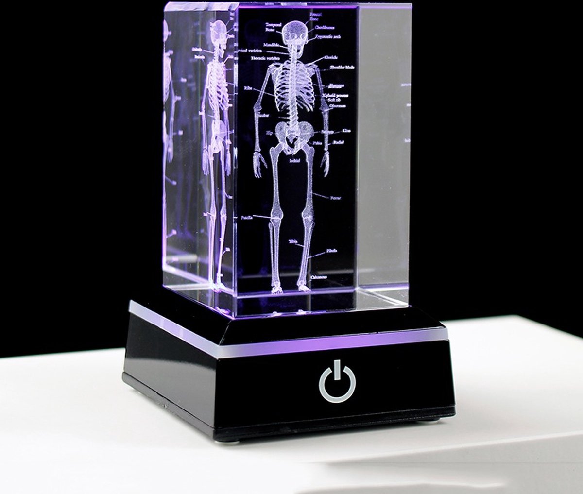 Crystal 3D Laser Gegraveerde Mens Anatomisch Mensen Skelet Model ...