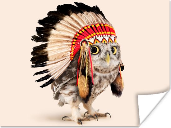 Poster uil - Muurposter - Dier - Uil - Indiaan - Vogel - 160x120 cm ...