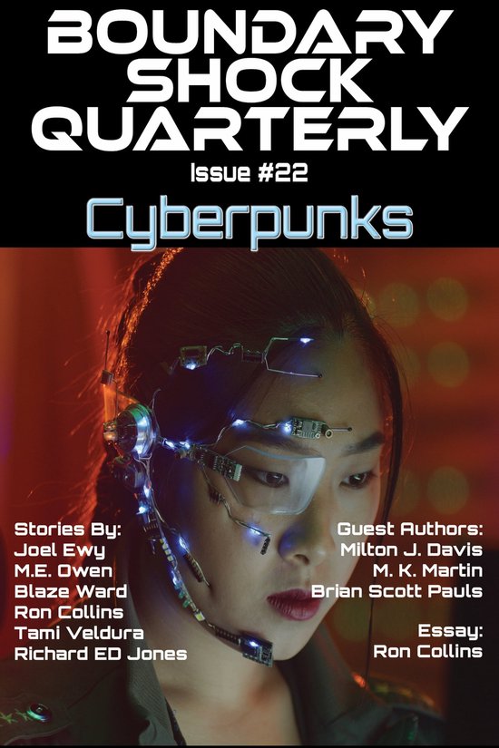 Boundary Shock Quarterly 22 - Cyberpunk (ebook), Blaze Ward ...