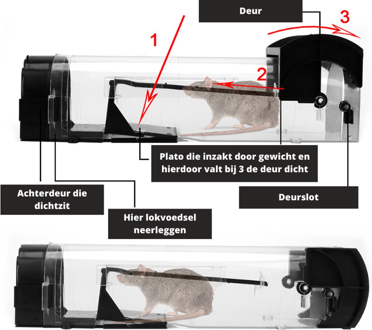 Muizenval voor binnen en buiten - Zwart met transparant - 1 ...
