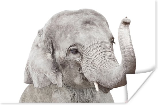 Poster Olifant - Dieren - Grijs - Natuur - 180x120 cm XXL | bol