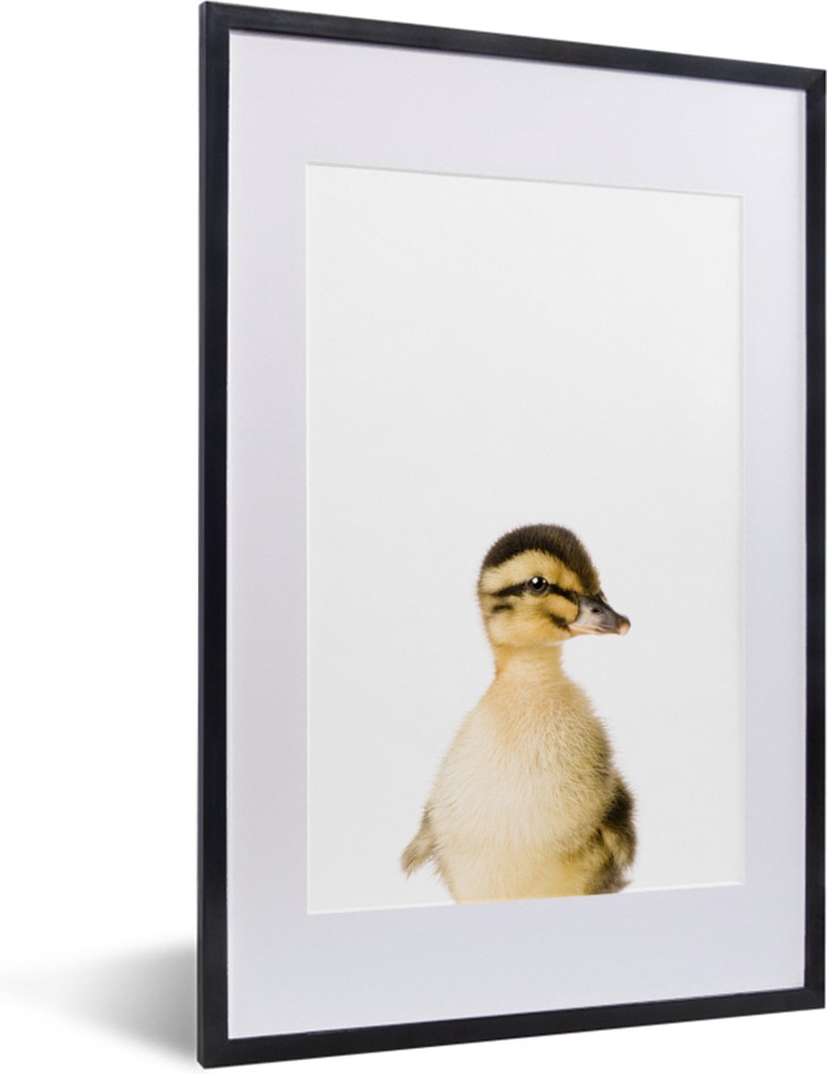 Eend - Geel - Dieren - Natuur | bol.com