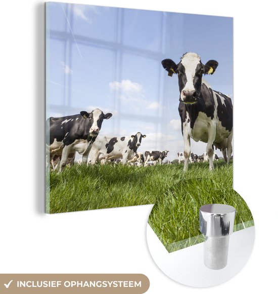 MuchoWow - Glasschilderij - Schilderij op glas - Koe - Dieren - Natuur ...