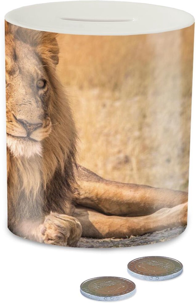Spaarpot - Spaarblik - Leeuw - Close up - Savanne - Spaarpotten ...