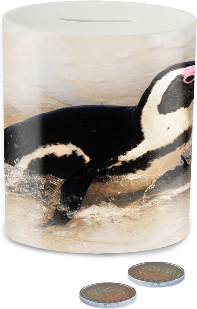 Spaarpot - Spaarblik - Een afbeelding van een Zwartvoetpinguïn ...