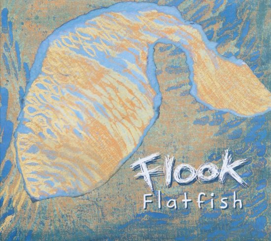 Flook - Flatfish (CD), Flook | Muziek | bol