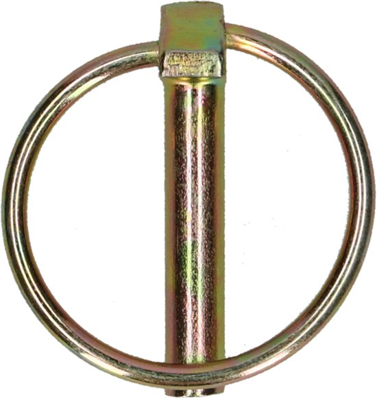 Borgpen met ring 10mm verzinkt | per stuk | bol