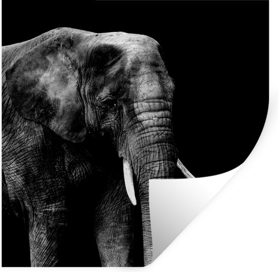 Muurstickers - Sticker Folie - Olifant - Dieren - Zwart - Wit - 120x120 cm - Plakfolie... | bol