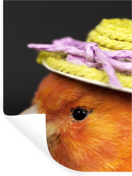 Muurstickers - Sticker Folie - Vogel - Hoed - Oranje - 120x160 cm ...