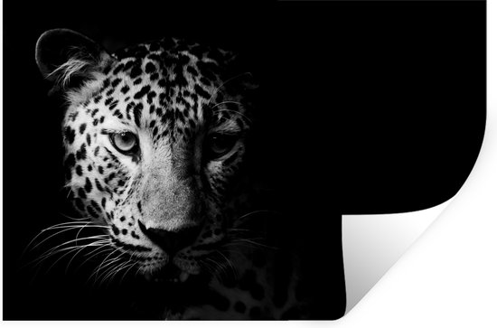 Muurstickers - Sticker Folie - Panter - Wilde dieren - Zwart wit - Dieren - 90x60 cm -... | bol