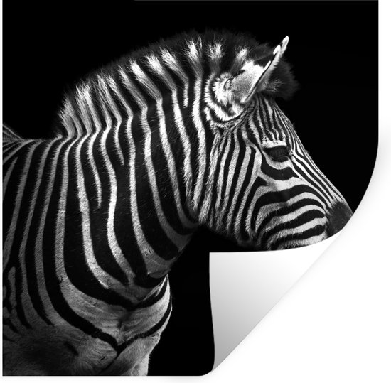 Muurstickers - Sticker Folie - Zebra - Zwart - Wit - Portret - Dieren - 100x100 cm -... | bol