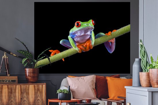 Muurstickers - Sticker Folie - Kikker - Plant - Zwart - 160x120 cm ...