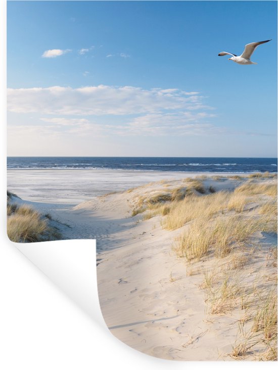 Muurstickers - Sticker Folie - Duin - Meeuw - Strand - Zee - Zon ...