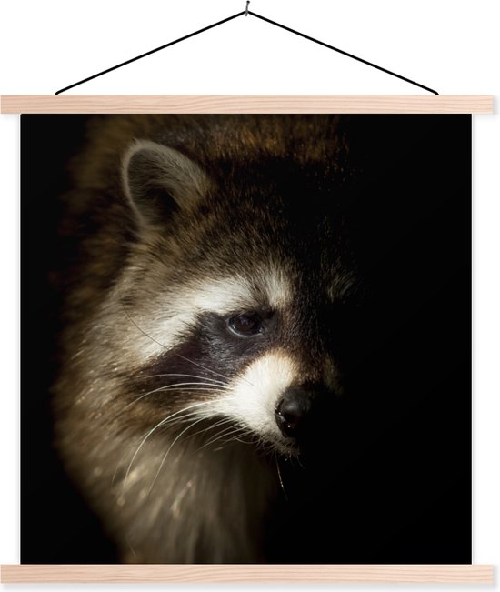 Affiche scolaire - Raton laveur - Animaux sauvages - Zwart - 60x60 cm ...