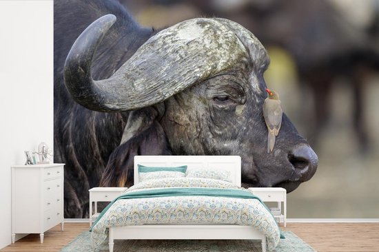 Behang - Fotobehang Buffel - Vogel - Dieren - Breedte 360 cm x hoogte ...
