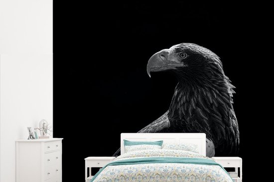 Behang - Fotobehang Arend - Close up - Snavel - Breedte 315 cm x hoogte ...