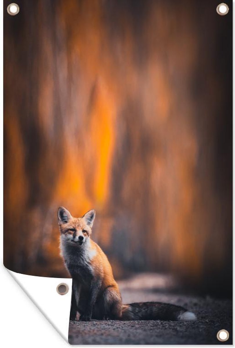 Décoration de jardin Renard - Route - 40x60 cm - Poster jardin - Toile ...