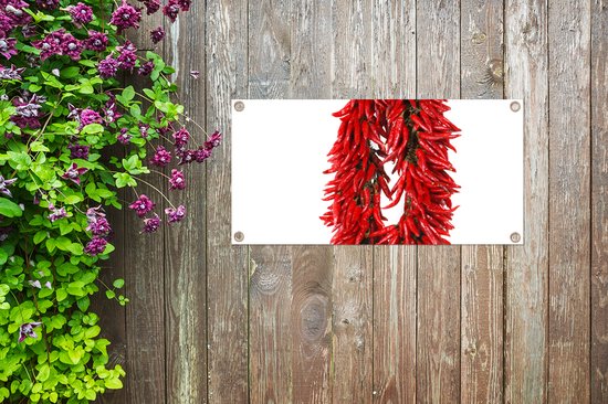 Poster de jardin Une guirlande de piments de cayenne ou Capsicum ...