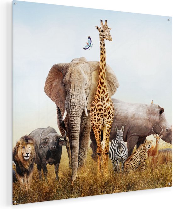 Artaza Glasschilderij - Afrikaanse Dieren op het Gras - Afrika - 90x90 ...