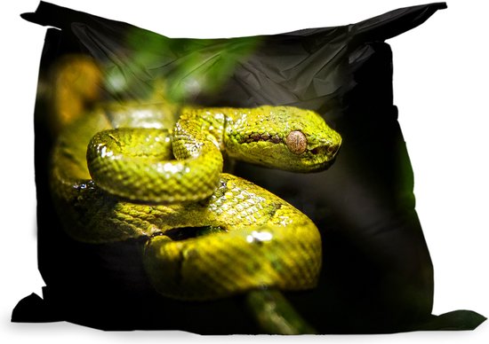 PillowMonkey zitzak - Een groene slang in het regenwoud van Costa Rica ...