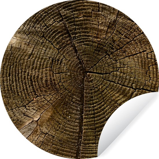 WallCircle - Muurstickers - Behangcirkel - Een doorsnede van een boomstam met... | bol