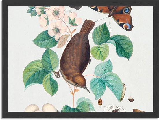 Poster Prent Natuur Vogel en Bloemen 03 Rechthoek Horizontaal Met Lijst ...