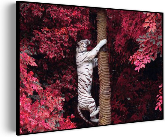 Akoestisch Schilderij De Witte Tijger Rechthoek Horizontaal Pro L (100 ...
