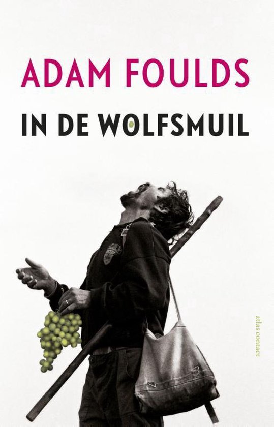 In de wolfsmuil, Adam Foulds | 9789025442538 | Boeken | bol