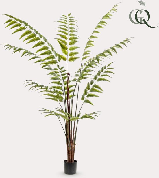 Kunstplant - Rumohra Adiantiformis - Ledervaren - 180 cm | bol