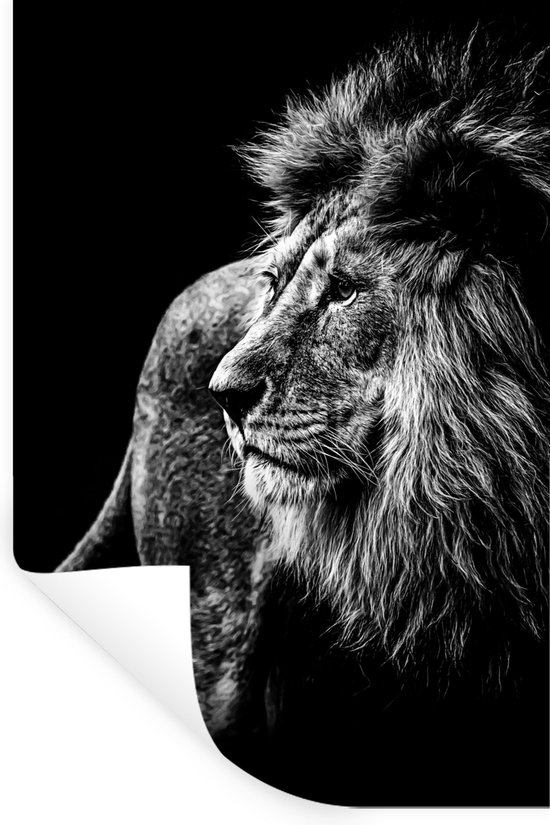 Muurstickers - Sticker Folie - Dieren - Wild - Leeuw - Zwart - Wit - 20x30 cm -... | bol