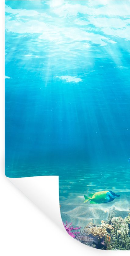 Muurstickers - Sticker Folie - Onderwaterwereld - Zeedieren - Water ...