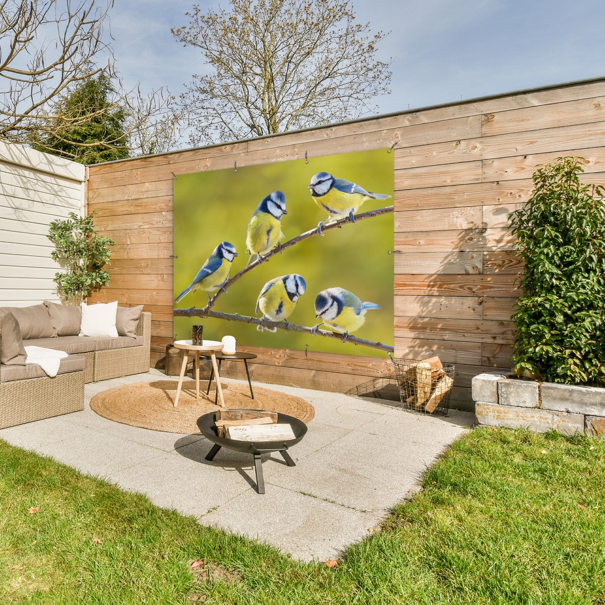 Tuinposter - Schutting decoratie - Tuindecoratie - Vogel - Pimpelmees ...