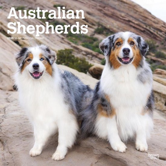 Australian Shepherd Kalender 2025 | bol