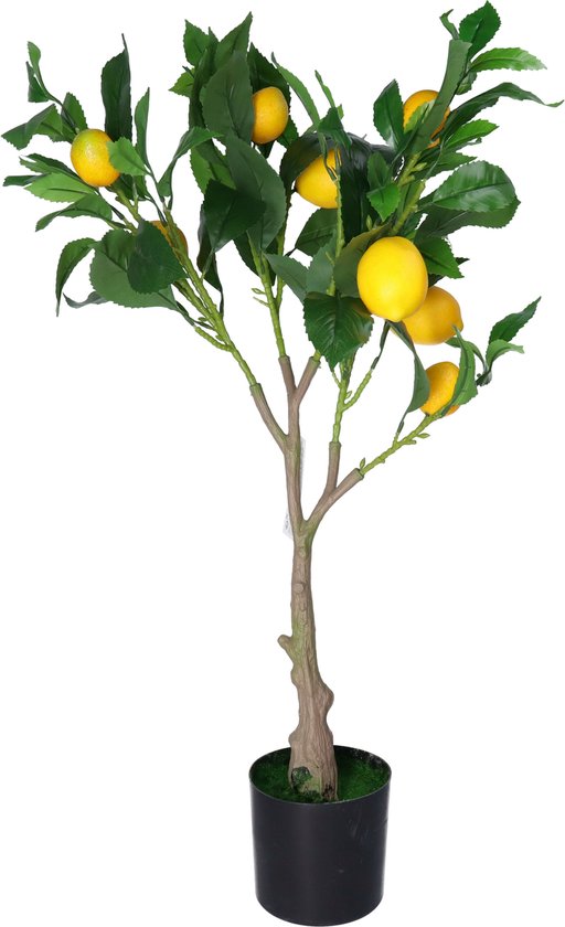 H&S Collection Kunst citrus boom in pot - citroen - 70 cm - kunstplant ...